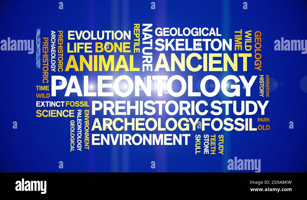 Paleontology animated word cloud,animation tag kinetic typography ...