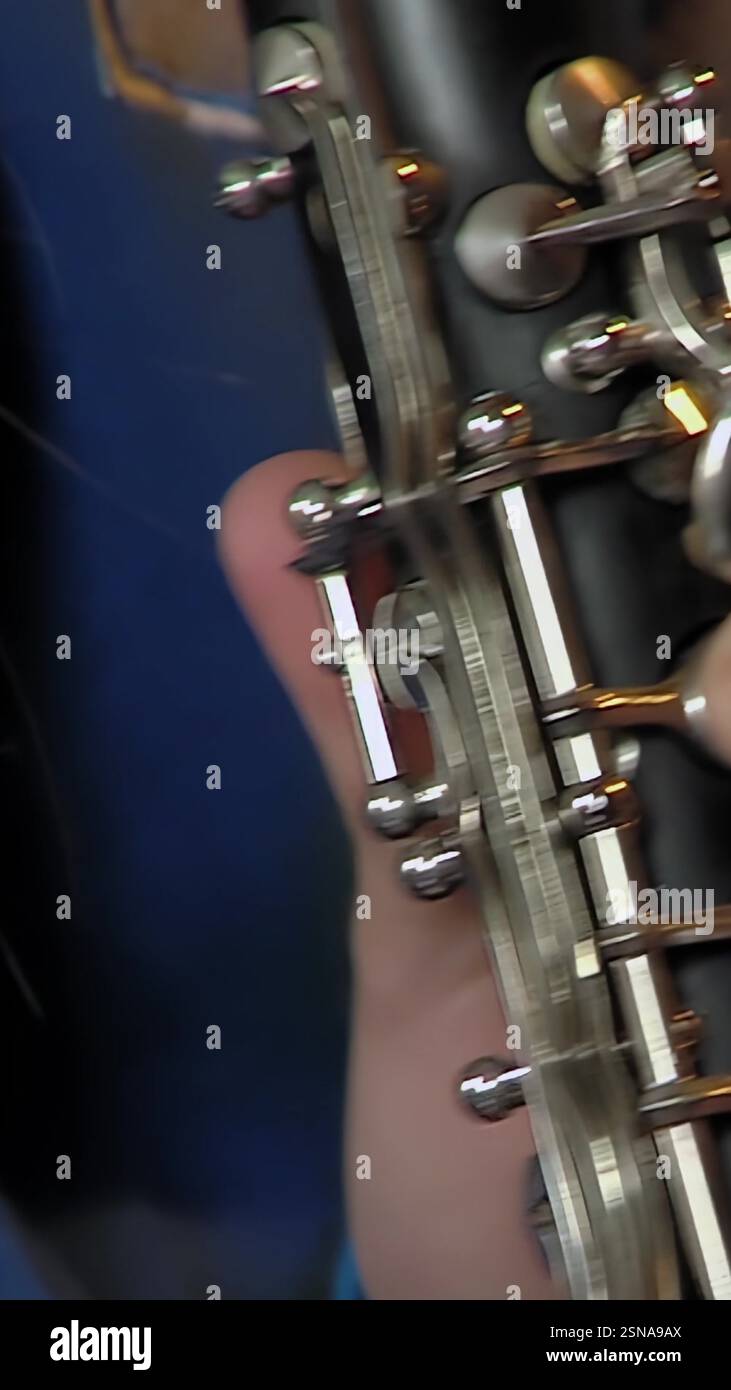 Clarinet keys Stock Videos & Footage - HD and 4K Video Clips - Alamy