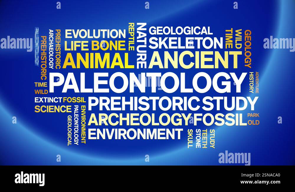 Paleontology animated word cloud,animation tag kinetic typography ...