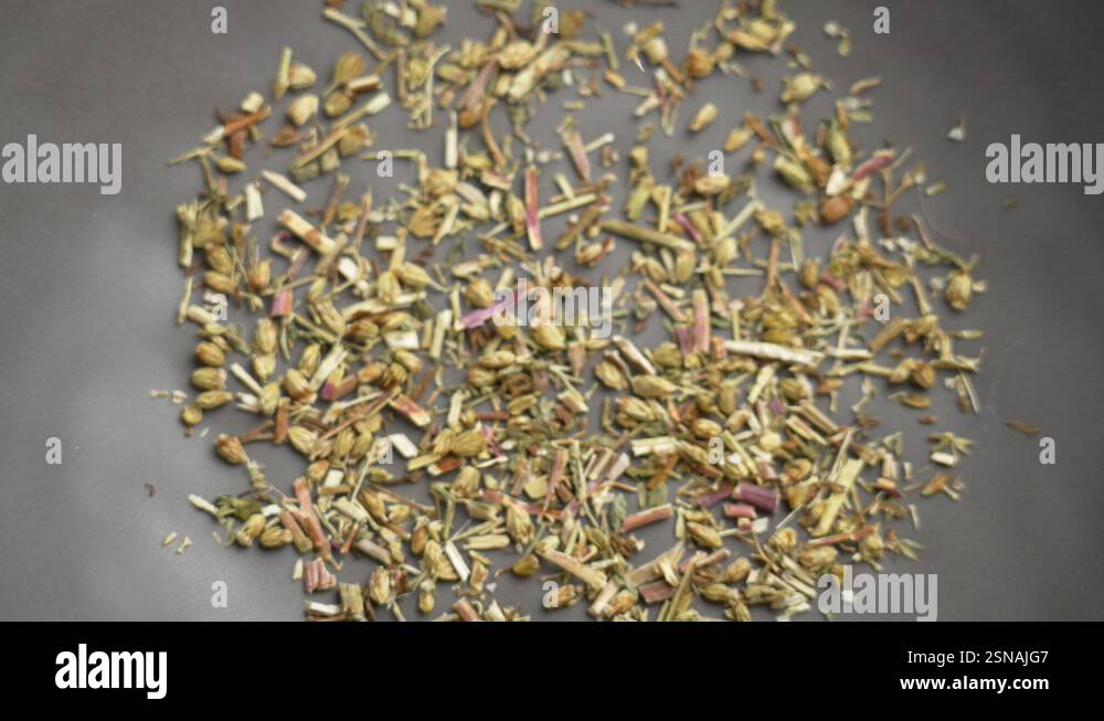 Dried yarrow achillea millefolium Stock Videos & Footage - HD and 4K ...