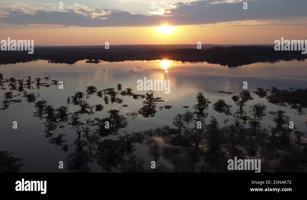 Amazon wetlands aerial Stock Videos & Footage - HD and 4K Video Clips ...