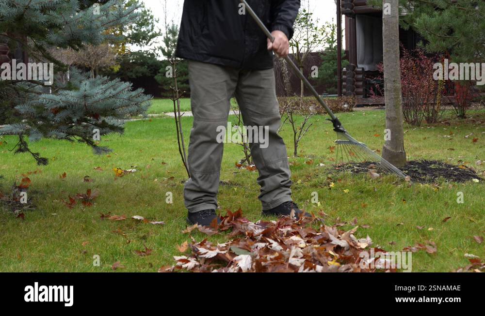 Leaves fall garden Stock Videos & Footage - HD and 4K Video Clips - Alamy