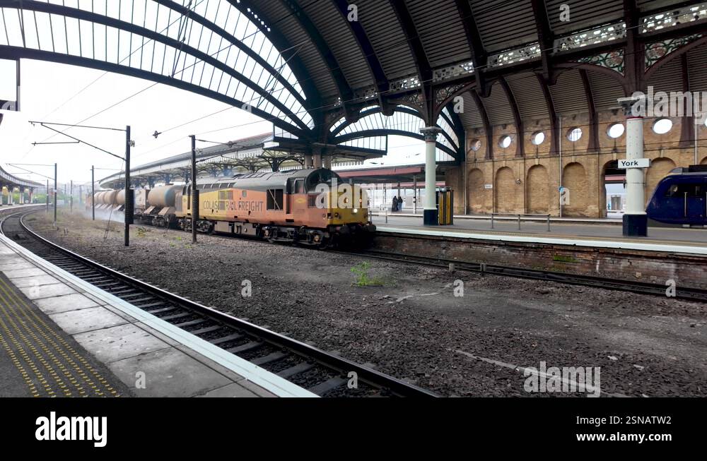 Adhesiontrain Stock Videos & Footage - HD and 4K Video Clips - Alamy