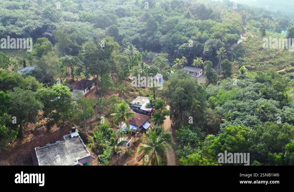 Village kerala Stock Videos & Footage - HD and 4K Video Clips - Alamy