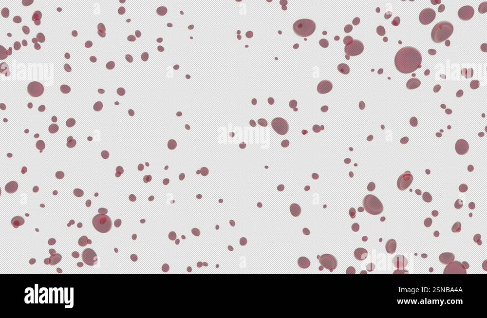 Red Blood Cell Explosion. Burst of Blood Cell. Alpha Channel Stock ...