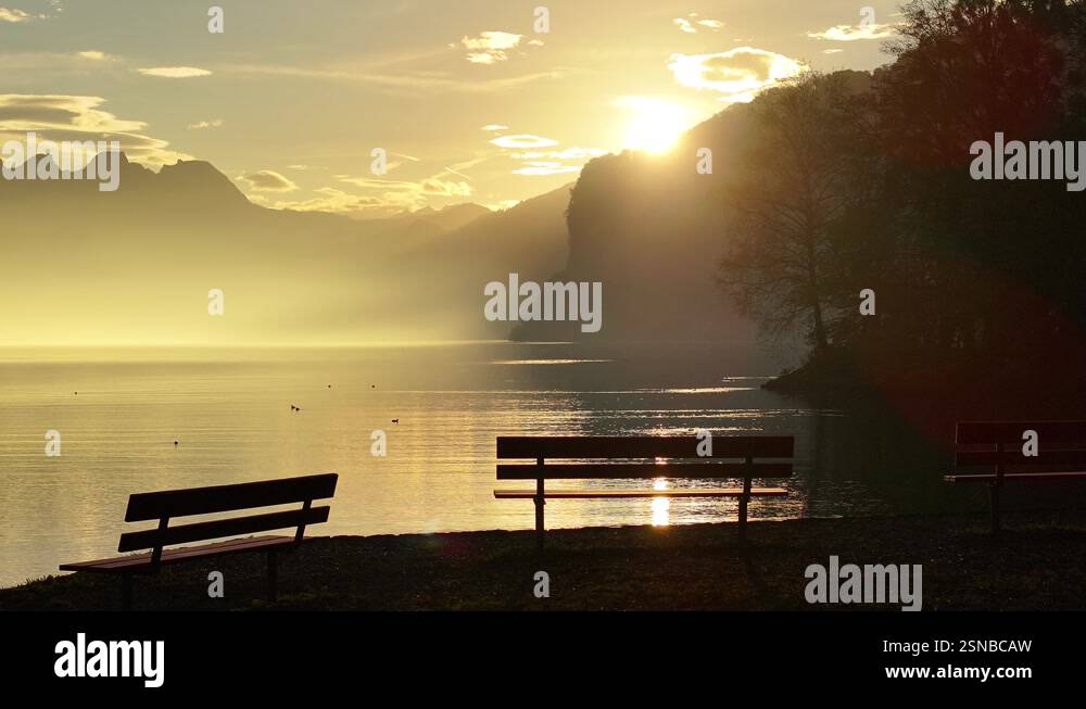 Divine sunrise from a park by Lake Walensee, with ducks swimming Stock ...