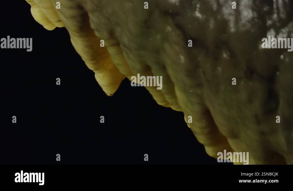 Wet limestone formation Stock Videos & Footage - HD and 4K Video Clips ...