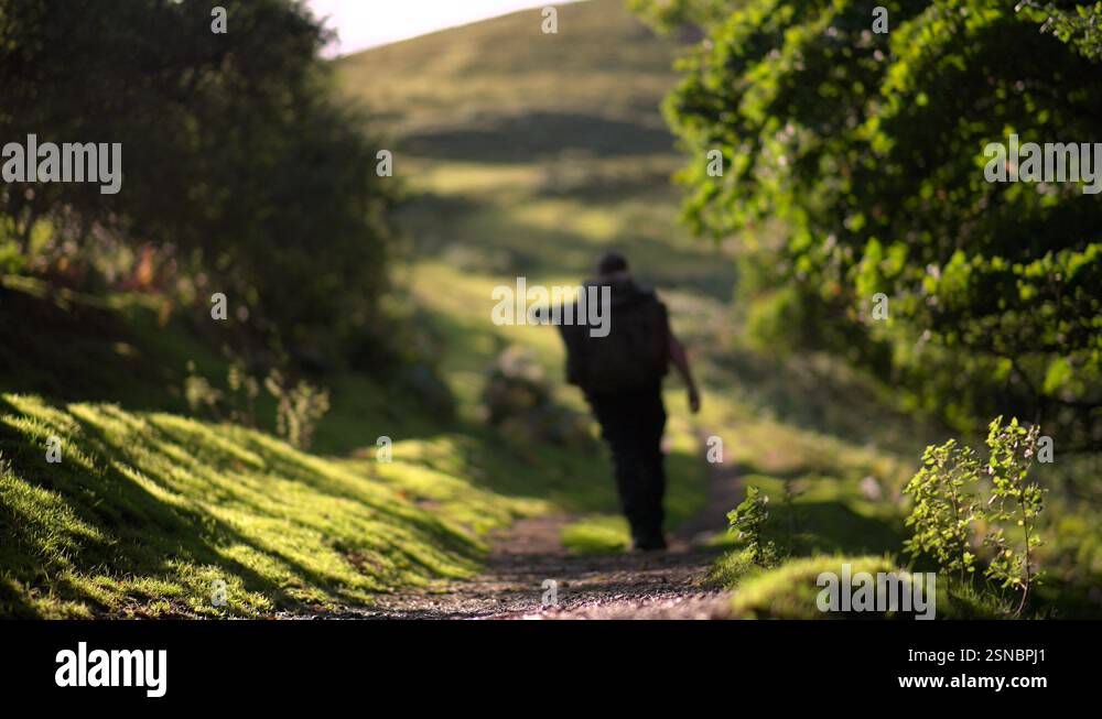 Windy trail Stock Videos & Footage - HD and 4K Video Clips - Alamy