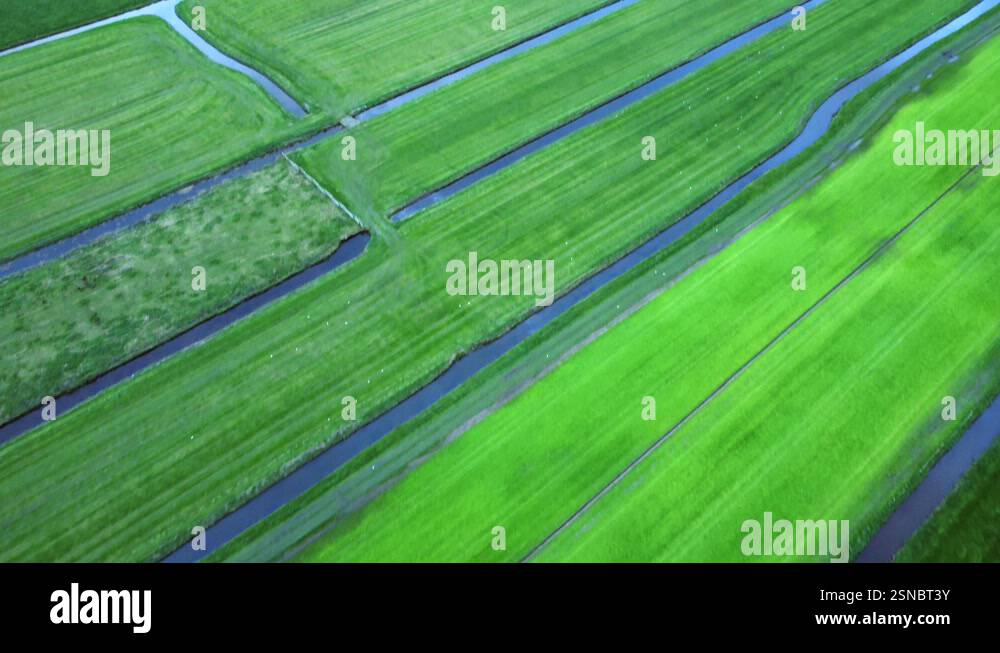Netherlands farming Stock Videos & Footage - HD and 4K Video Clips - Alamy