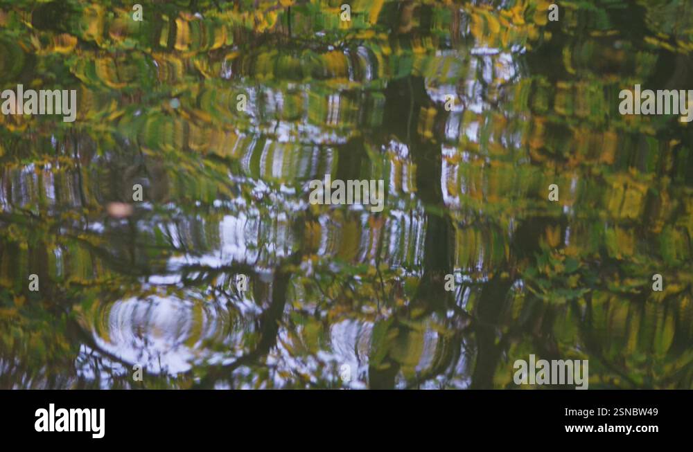 Pond ripple Stock Videos & Footage - HD and 4K Video Clips - Alamy