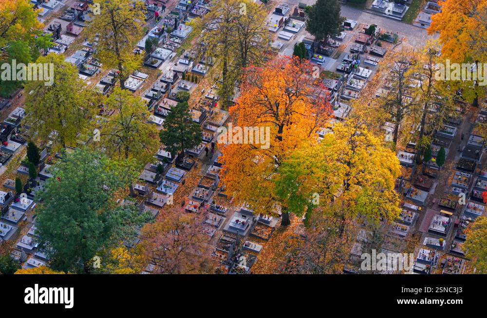Burial memorials Stock Videos & Footage - HD and 4K Video Clips - Alamy