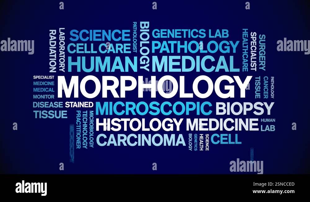Morphology animated word cloud,animation tag kinetic typography ...