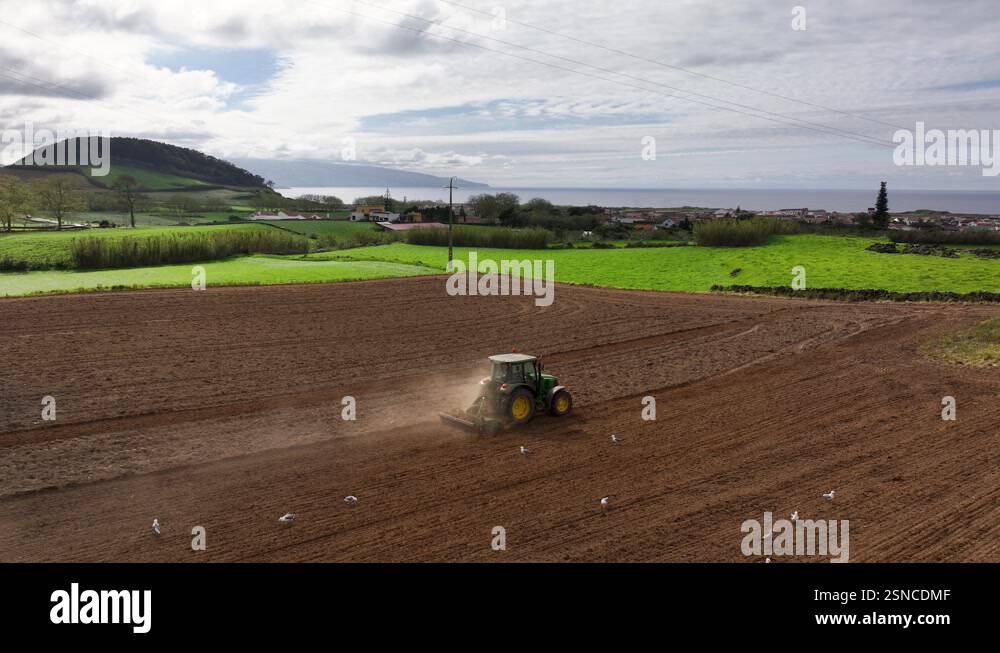 Tractor tills arable soil of farm land at Ribeira Grande, Sao Miguel ...