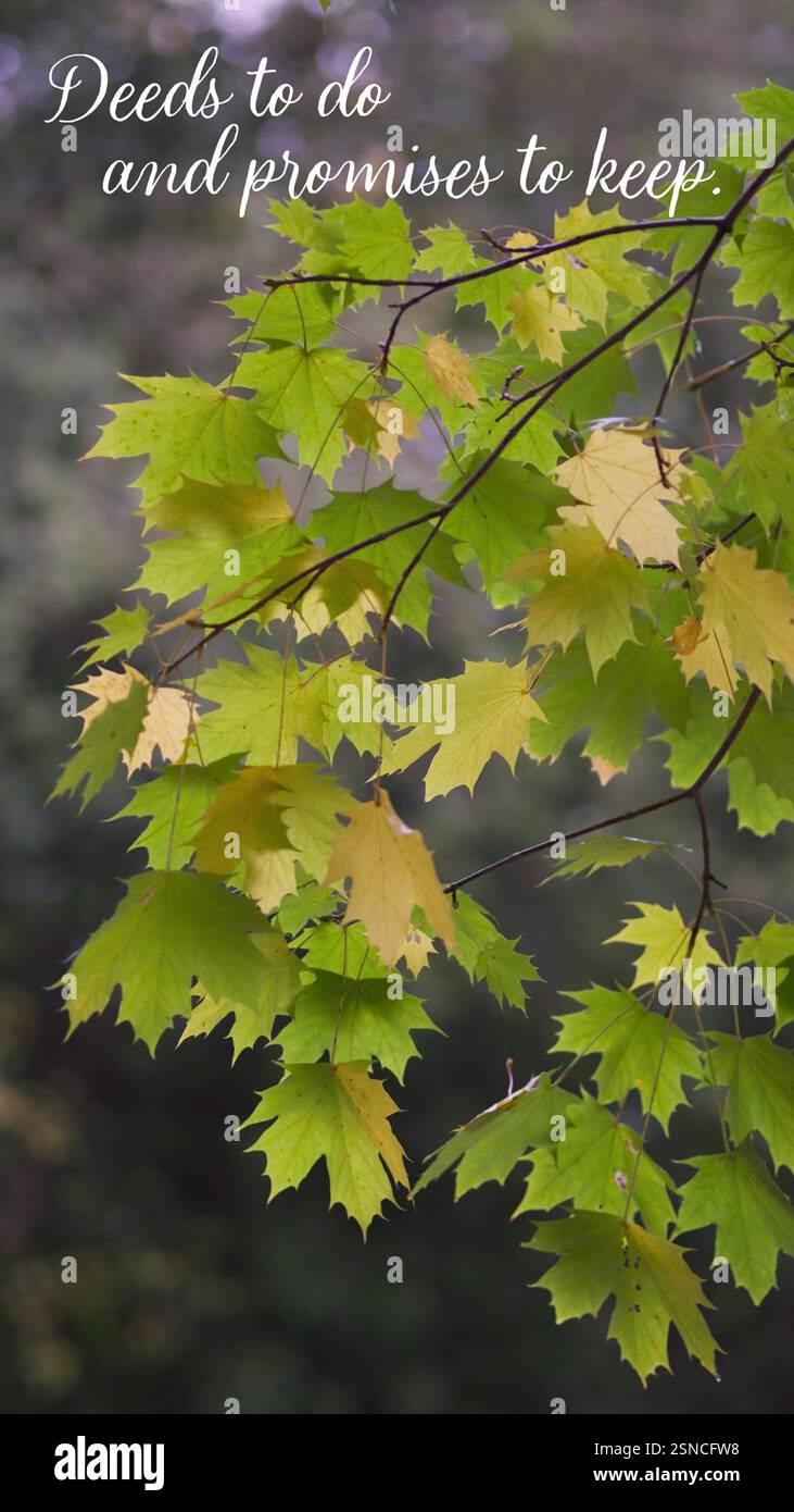 Promises Stock Videos & Footage - HD and 4K Video Clips - Alamy