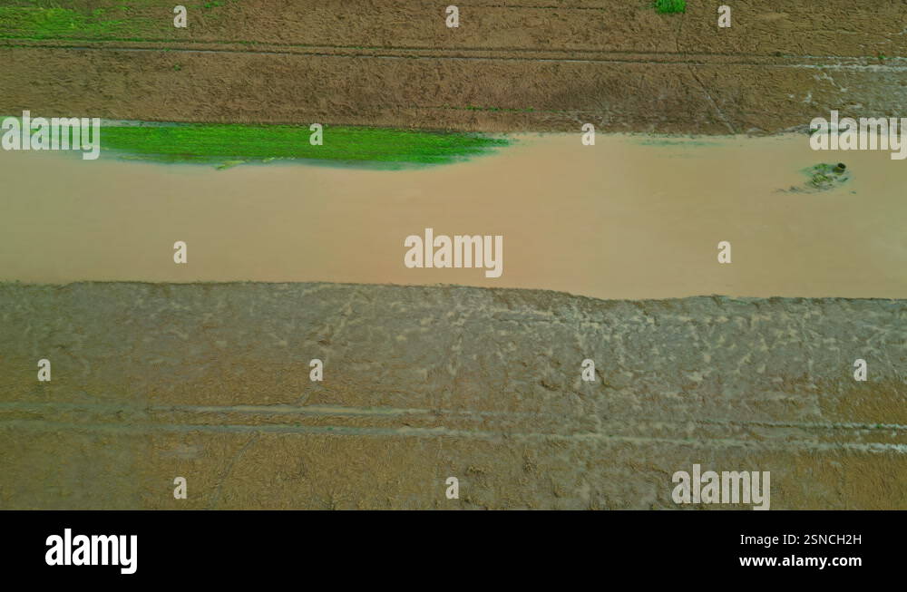 Ditch with stagnant water Stock Videos & Footage - HD and 4K Video ...