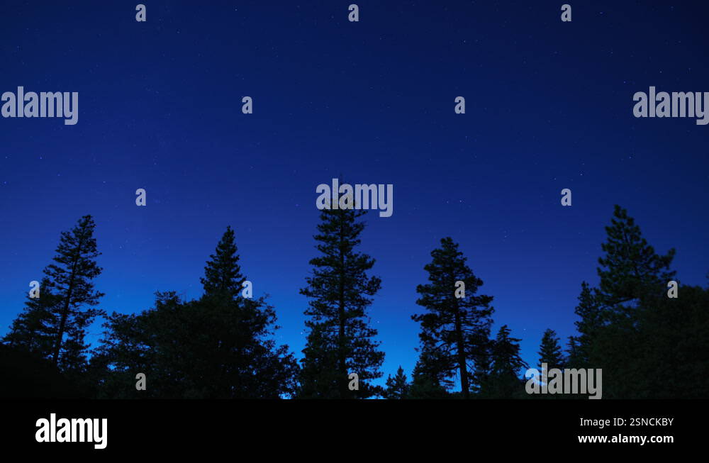 Milky Way Galaxy Under Moonlight Time Lapse in Southwest Sky Pine ...