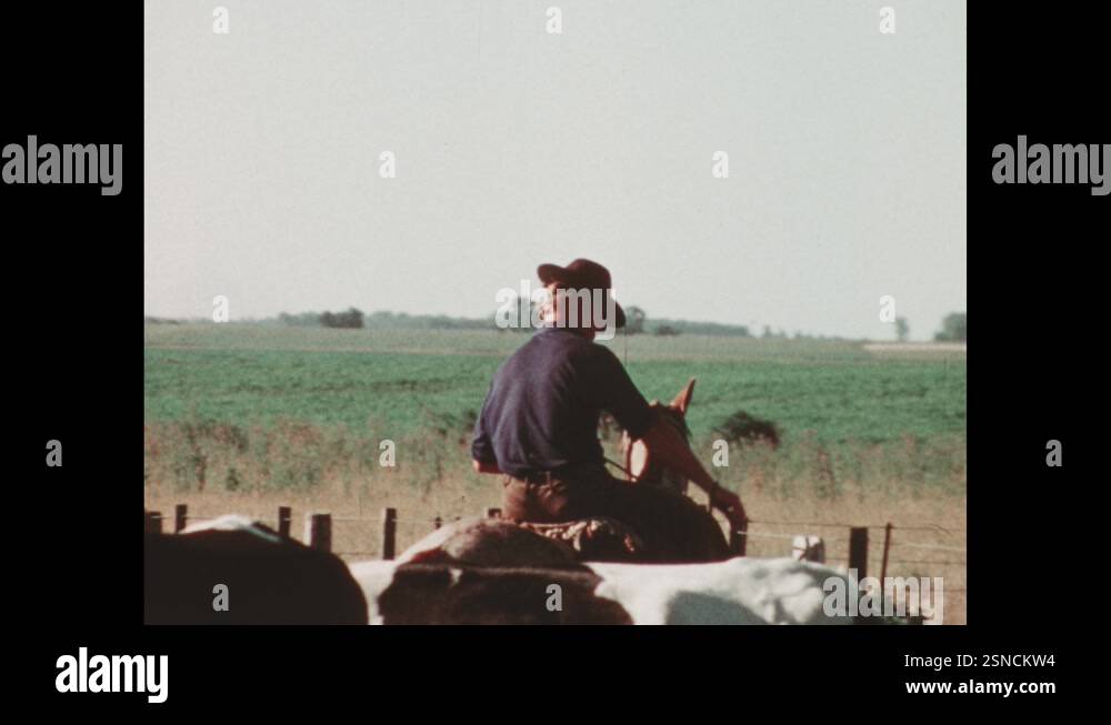 1960s: Cows graze. Men on horseback. Farm workers at work. Map of South ...