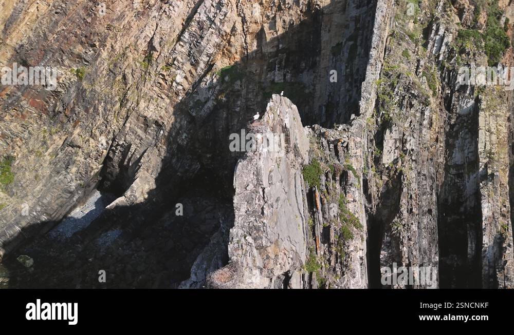 White stork rock Stock Videos & Footage - HD and 4K Video Clips - Alamy