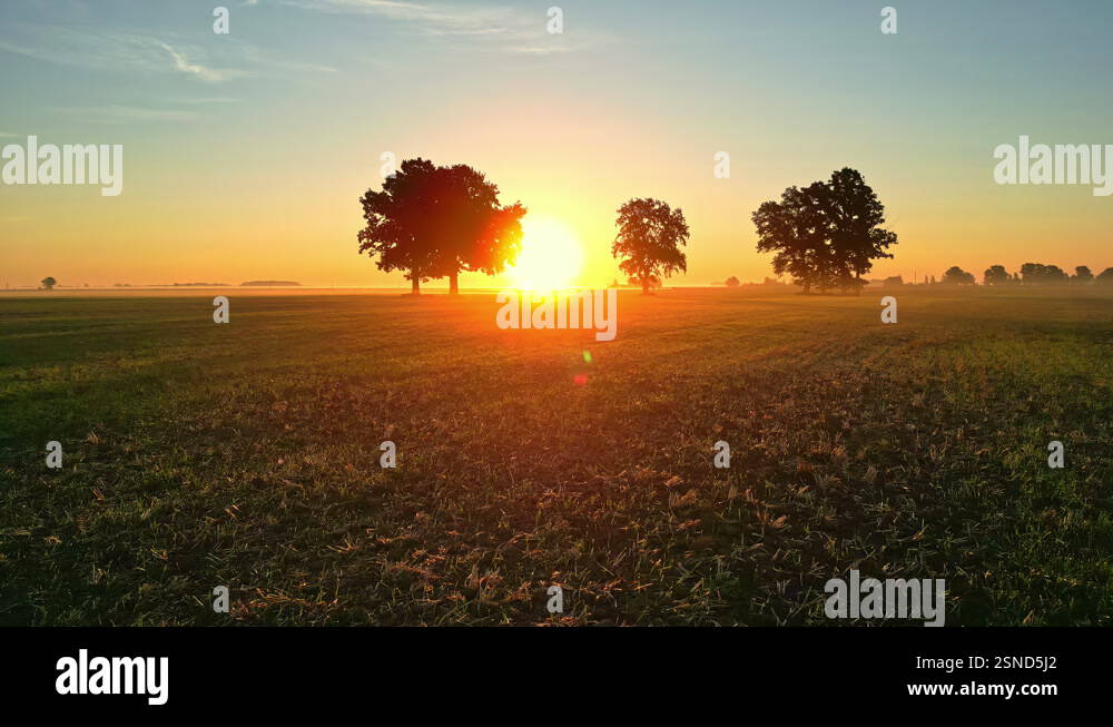 Moving footage of sun beams getting obstructed by trees at farm land ...