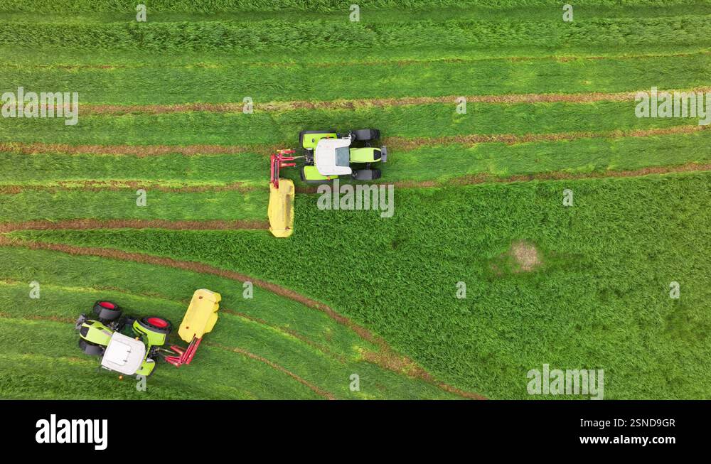 Grass silage on farm land being cut by tractor mowers for livestock ...