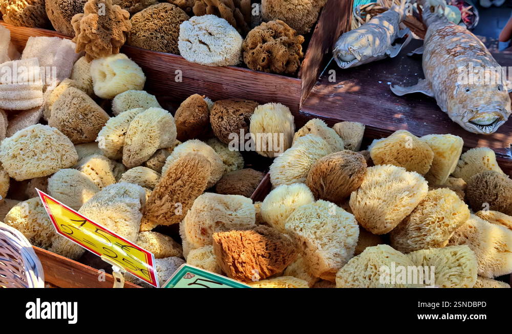 Variety Of Sea Sponges For Sale On Floating Boats In Chania, Crete ...