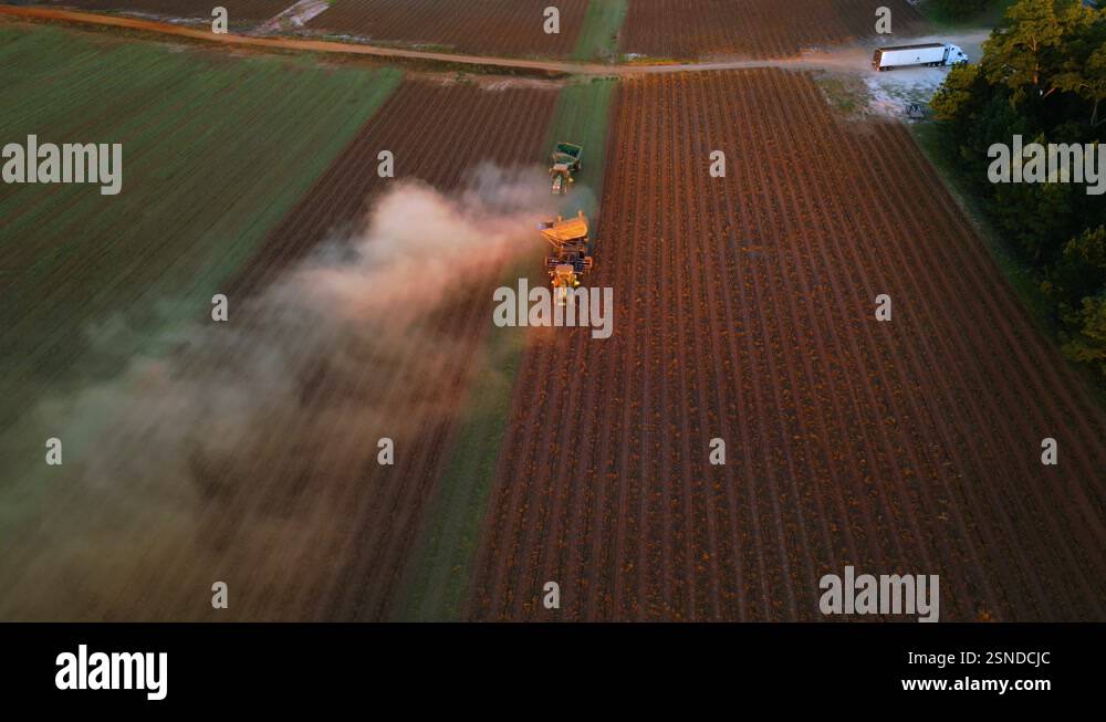 Tractors working at sunrise in a plowed field, emitting dust trails ...