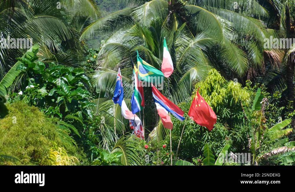 Moorea, French Polynesia - 09/30/2024: A selection of world country ...