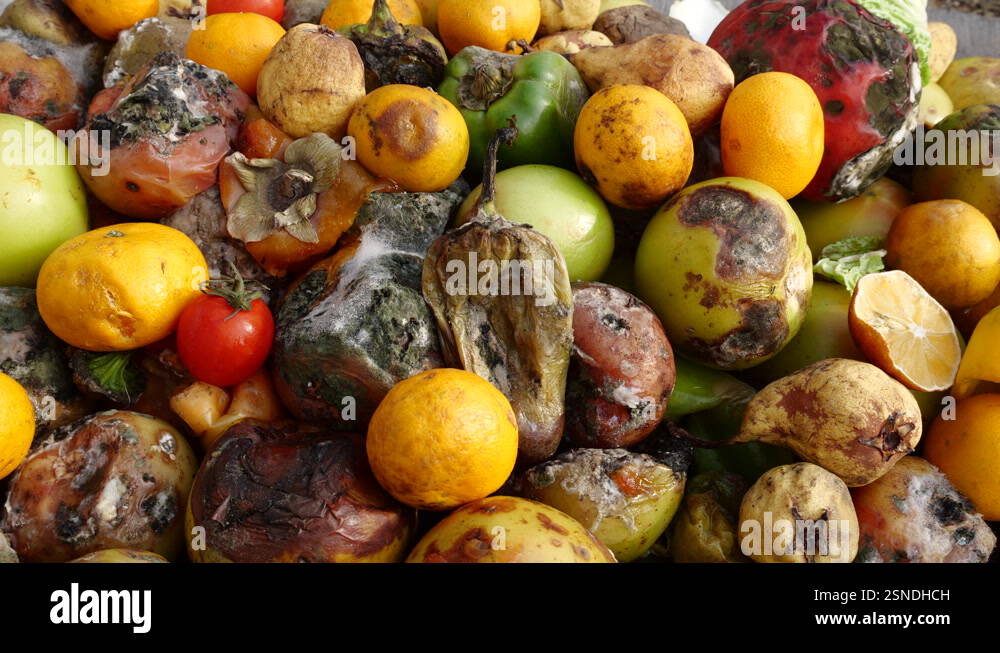 Waste fruits vegetables Stock Videos & Footage - HD and 4K Video Clips ...