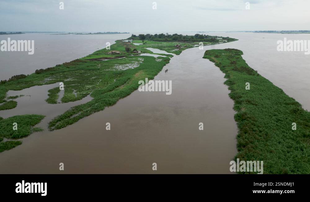 Congo Basin rainforest in the democratic republic of Congo Stock Video ...
