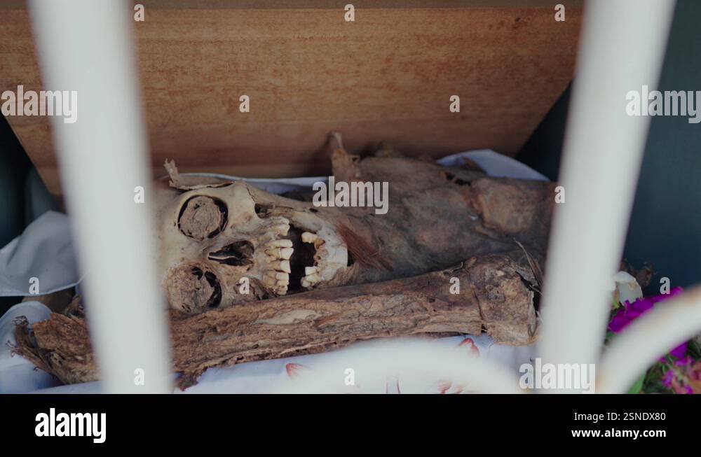 Skull cemetery graveyard Stock Videos & Footage - HD and 4K Video Clips ...