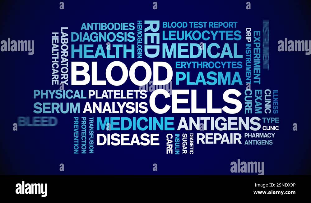 Blood Cells animated word cloud,animation tag kinetic typography ...