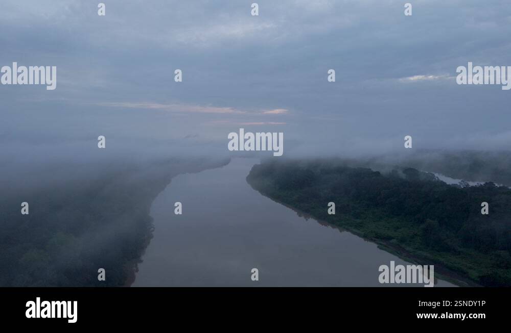 Congo Basin rainforest in the democratic republic of Congo Stock Video ...