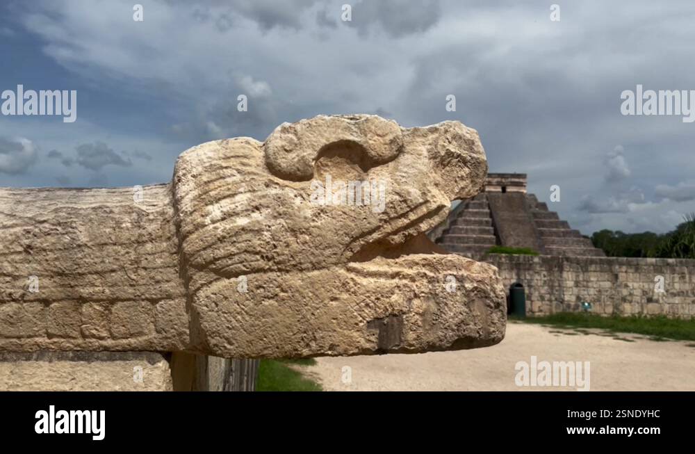 Serpent heads Stock Videos & Footage - HD and 4K Video Clips - Alamy