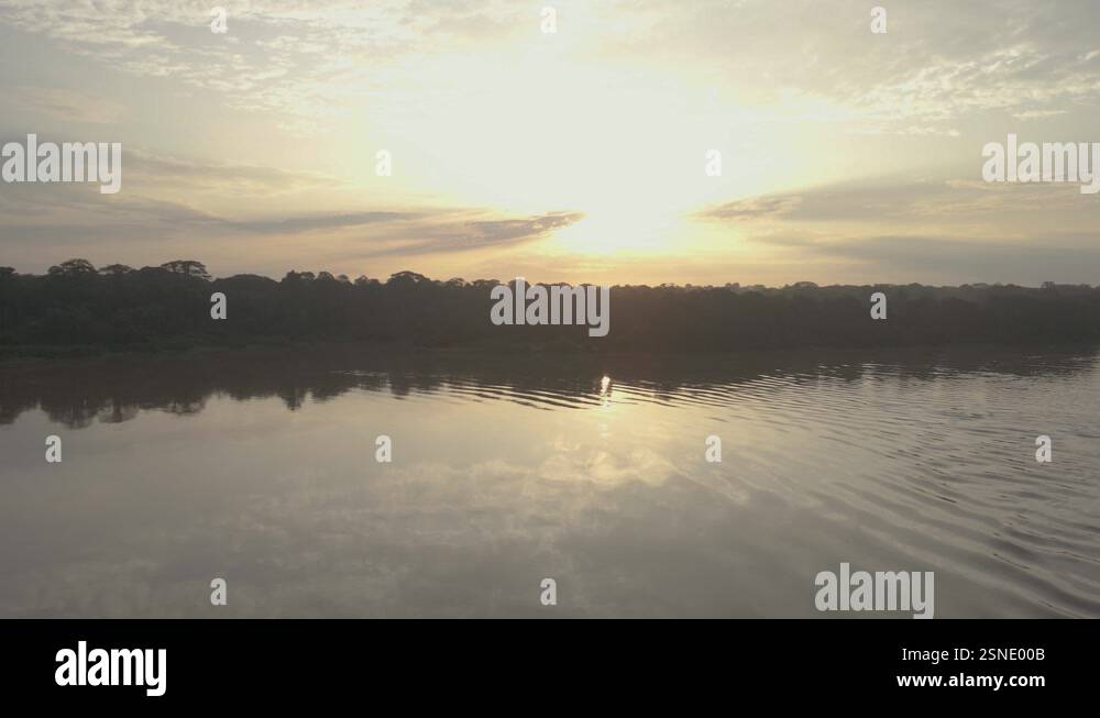 Congo Basin rainforest in the democratic republic of Congo Stock Video ...