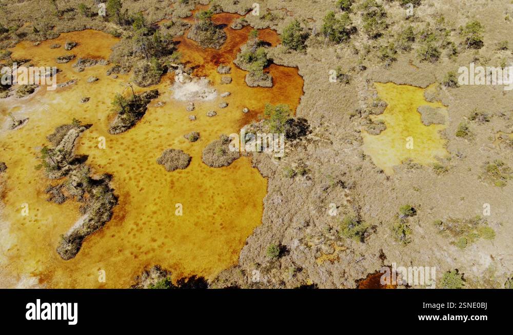 Bog pools Stock Videos & Footage - HD and 4K Video Clips - Alamy