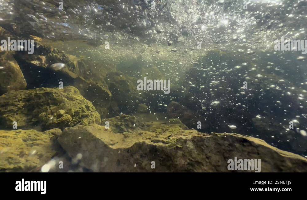 Underwater shot shallow stream in Stock Videos & Footage - HD and 4K ...