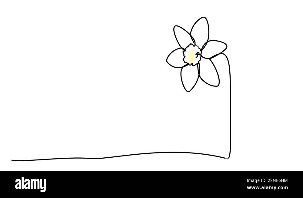 Linear flowers Stock Videos & Footage - HD and 4K Video Clips - Alamy