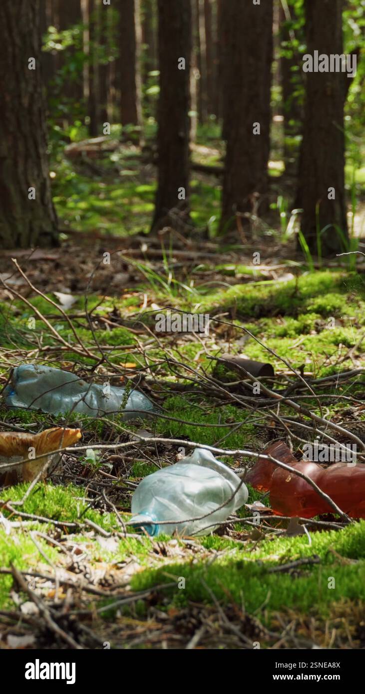 Plastic bottles discarded by people in a pine forest. Garbage in the ...