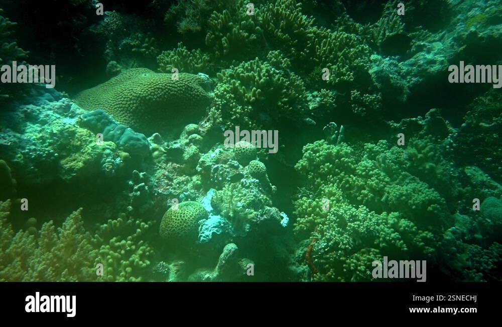 Diffuse lighting Stock Videos & Footage - HD and 4K Video Clips - Alamy