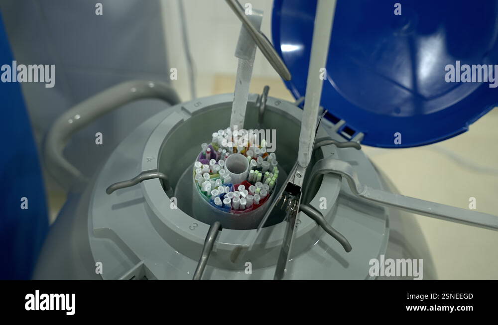 Keeping the embryo samples inside the cryogenic container at a ...