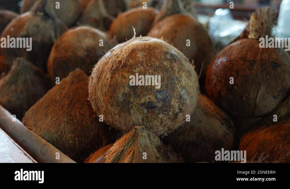 Stack coconuts Stock Videos & Footage - HD and 4K Video Clips - Alamy