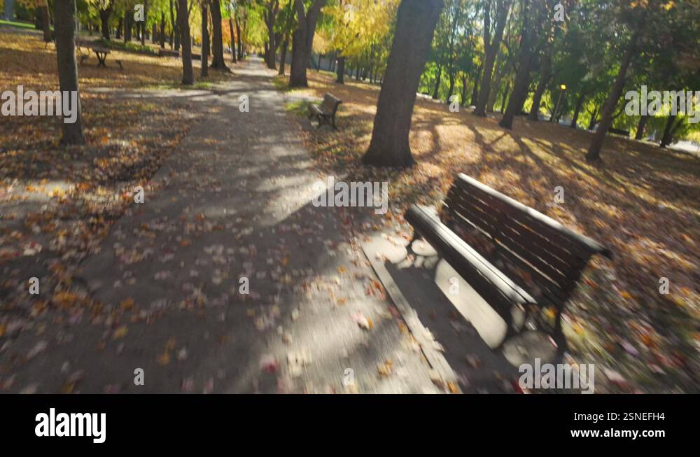 Pathways through park Stock Videos & Footage - HD and 4K Video Clips ...