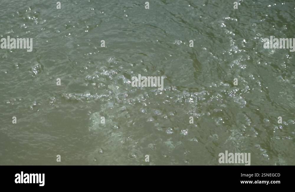 Water bubbles from clear river Stock Videos & Footage - HD and 4K Video ...