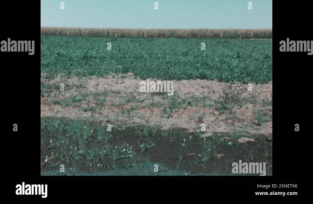 1970s: Animated map. River. Crops in field. Barge. Building Stock Video ...