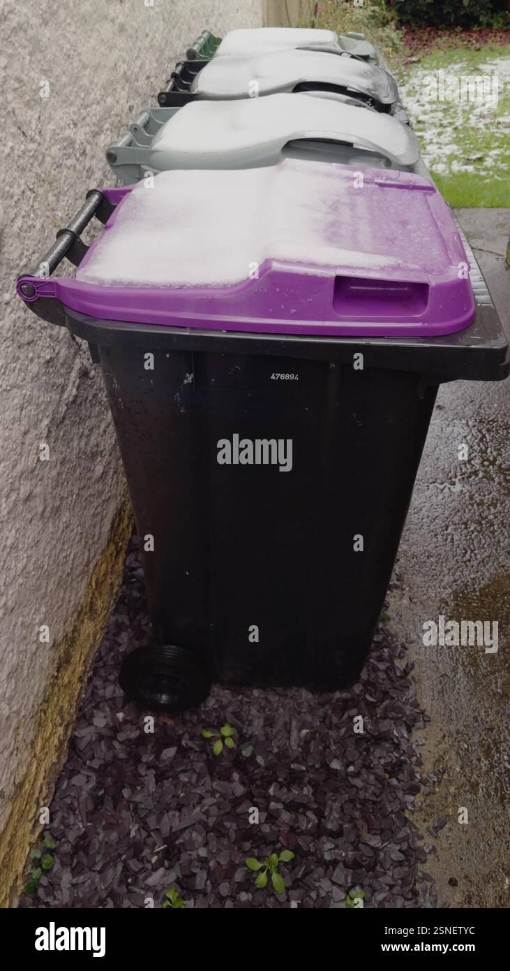 Vertical - Waste, trash and recycling wheelie bins, with lids covered ...