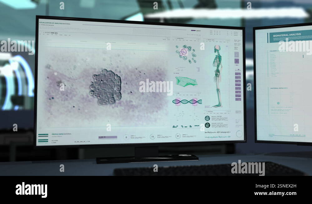 Medical laboratory system interface is observing the multiplication ...