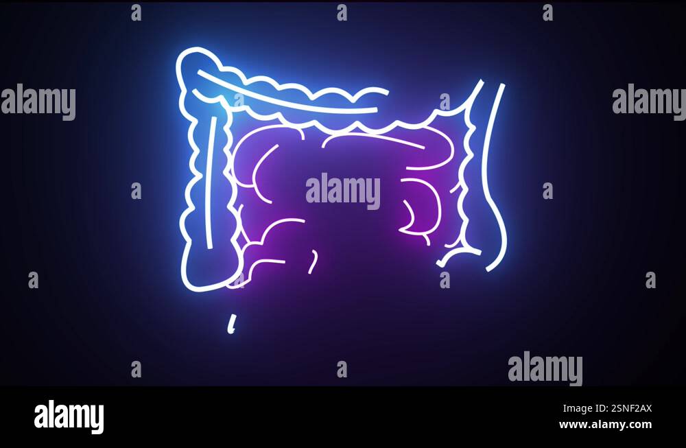 Neon anatomy of the human digestive system. Anatomy of the human ...