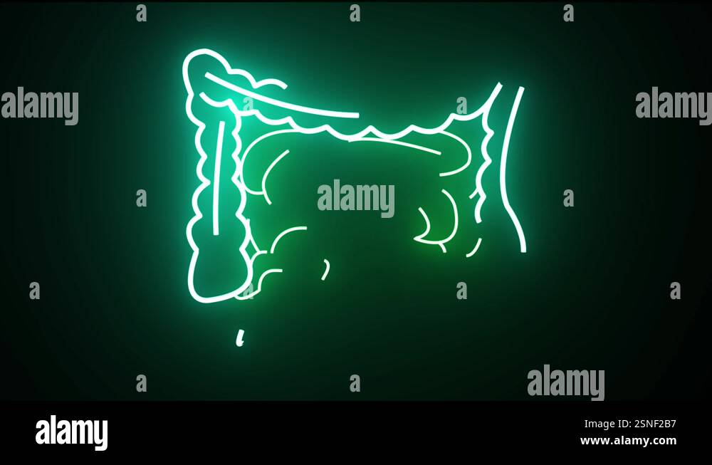 Blue neon anatomy of the human digestive system. Anatomy of the human ...