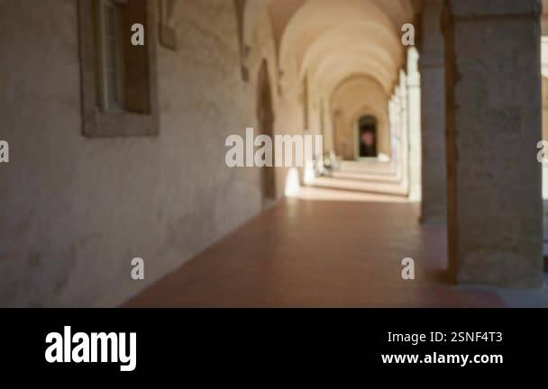 Blurred view of a historic university corridor with arched ceilings ...