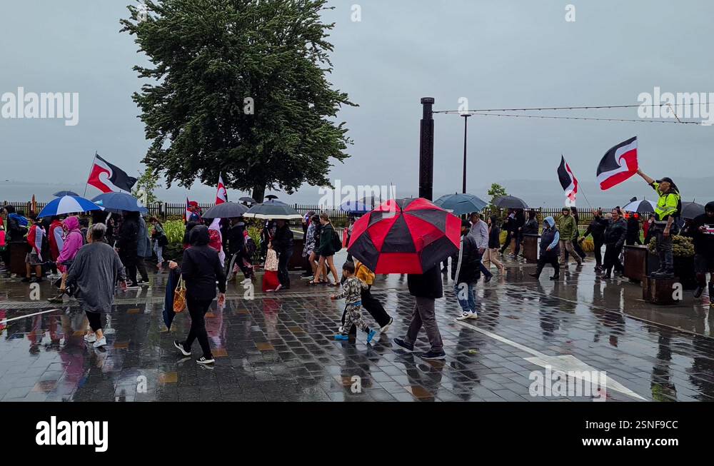 Maori People protesting and marching in rally for protection of Treaty ...